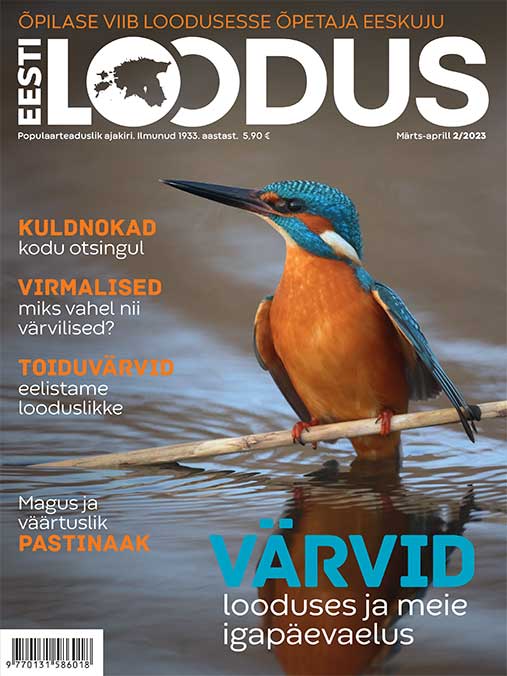 Eesti Loodus Arhiiv | Tootekategooriad | Loodusajakiri