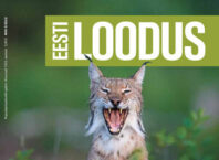 Loodusajakiri | Eesti Loodus Horisont Loodusesõber Eesti Mets Lehed ja ...