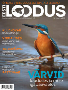 Loodusajakiri | Eesti Loodus Horisont Loodusesõber Eesti Mets Lehed ja ...